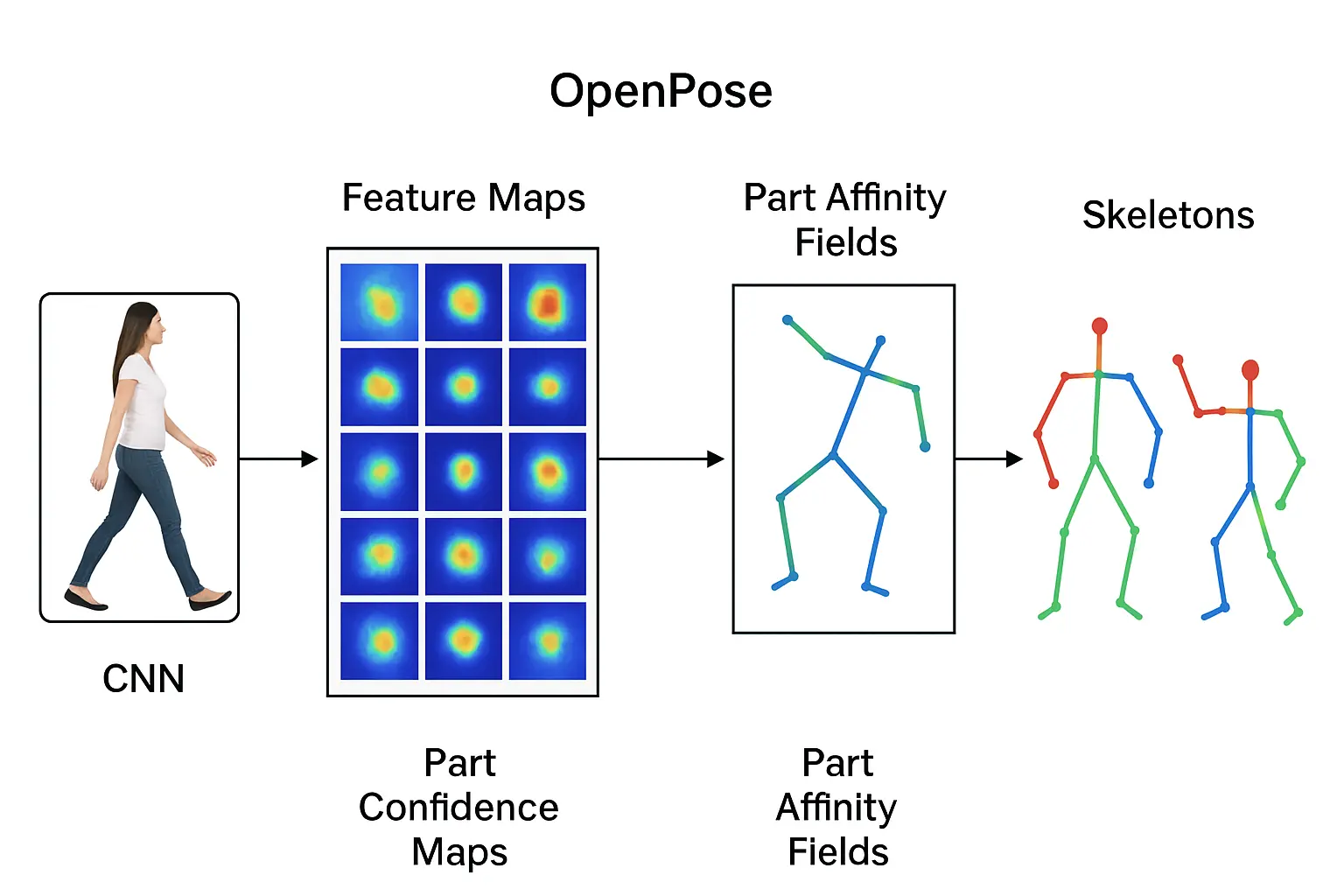 Understanding OpenPose: The Easy Way